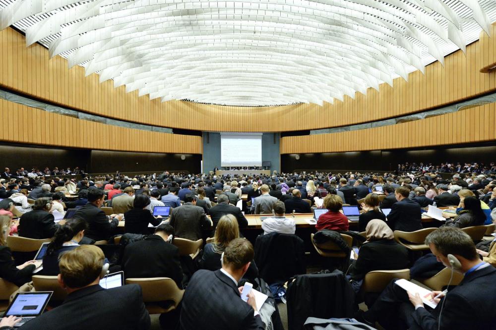 Geneva Climate Change Conference | Genève internationale